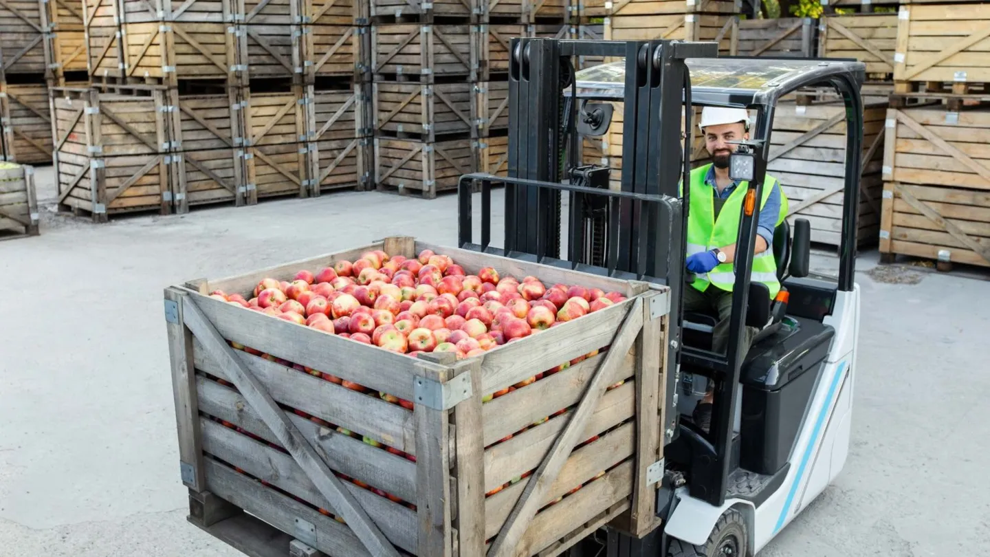FMCG Distribution Center Design: Space and Workflow Hacks